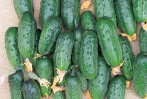 Beschrijving van het cijfer van komkommers is gezond, zijn kenmerk en cultivatie