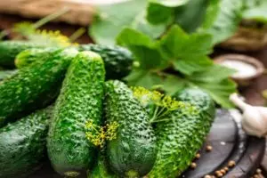 পোলিশ নির্বাচন এর cucumbers এর বিভিন্ন ধরনের বর্ণনা: KRAK, SPA, Sirmsky, Andrus এবং Titus
