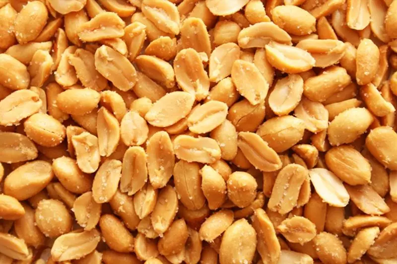 Descrizione di varietà e tipi di arachidi, proprietà utili e dannose, atterraggio e cura