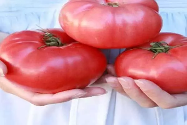 手の中のトマト