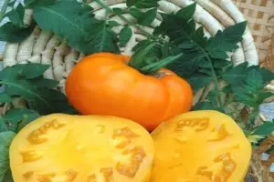 Tomātu bisona dzeltenā tomātu apraksts, tās īpašība un audzēšana