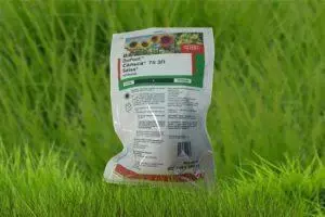 Herbicide Salsa иш-аракеттерин пайдалануу жана механизми үчүн нускамалар