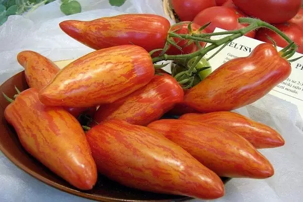 番茄疯狂番茄的描述，它的特征和产量