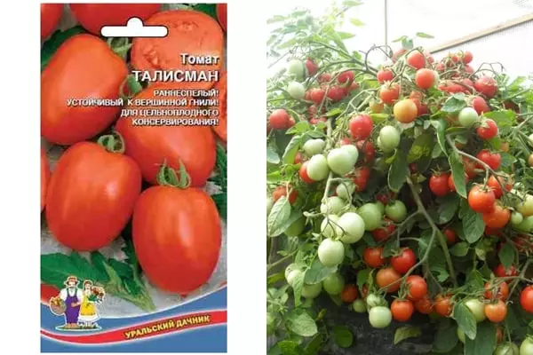 Tomato seeds Talisman