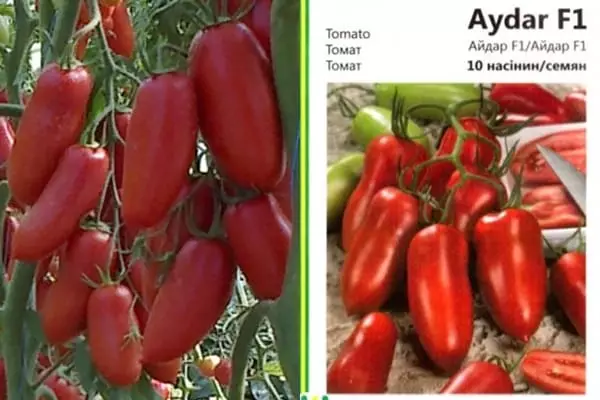 Sjemenke paradajza aidra