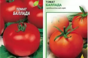 Apejuwe ti tomati balogun tomati ati awọn abuda rẹ