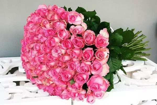 Description and characteristics of roses Roses Avolant, Growing and reproduction