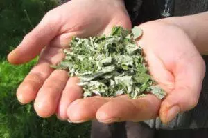 Quando puoi raccogliere foglie di lampone per l'essiccazione per l'inverno, i tempi e le regole e dove archiviare
