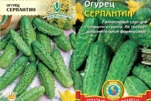 Seeds cucumber serpentine