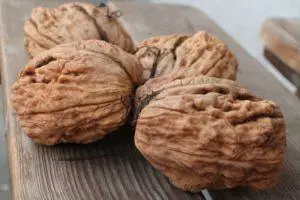 ဆင်ခြေဖုံးများ, အကောင်းဆုံးမျိုးကွဲများ, ဆင်းသက်ခြင်းနှင့်စောင့်ရှောက်မှုများတွင် walnut စိုက်ပျိုးပုံ