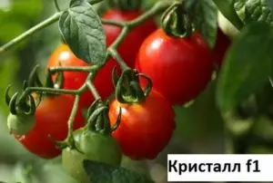 Rośnie, cechy i opis Crystal Pomidor F1