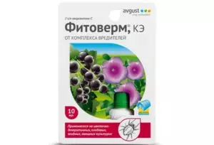 Пайдалану жөніндегі нұсқаулық, PhytodeTerm қиярын қалай өңдеуге болады