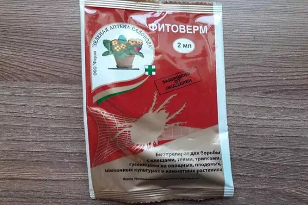 phytodeterm ក្នុងការវេចខ្ចប់