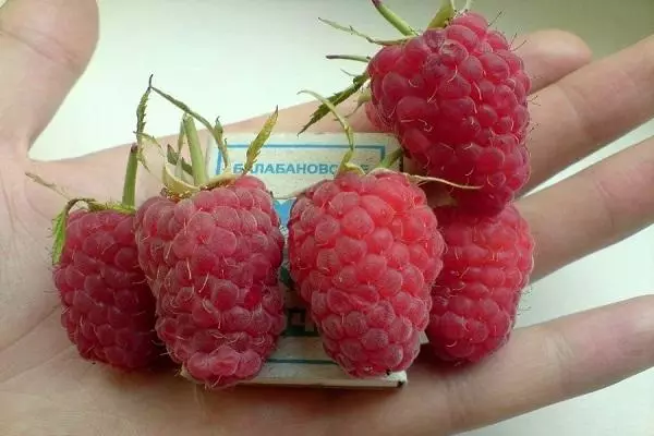 Fruits dans les mains