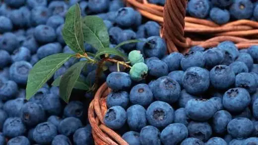 Sariwang blueberries.