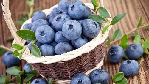 Blueberry sa basket