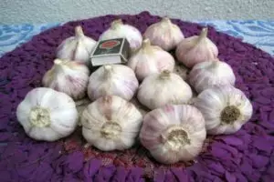 Kufotokozera kwa kalasi ya Garlic babash, Malangizo pakulima