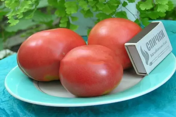 番茄辛巴蒂加