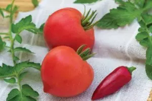 番茄番茄F1的特徵和描述
