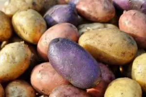Ringkesan jinis kentang sing paling apik kanthi katrangan