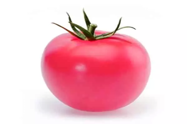 Tomato Pandarozoza