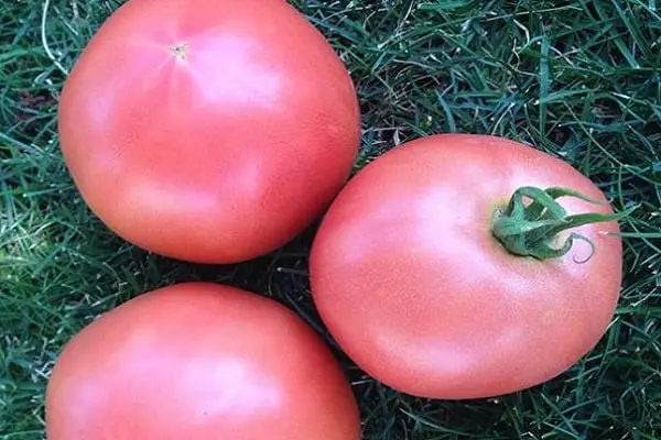 Ngajadikeun tomat