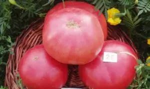 Charakteristesch a Beschreiwung vun der Tomate Varietéit Pink King (Kinnek), säi Rendement