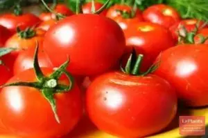 Pomidov qurolining navini, hosildorlik, o'sishning o'ziga xos xususiyatlari