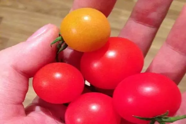 Valkoiset tomaatit