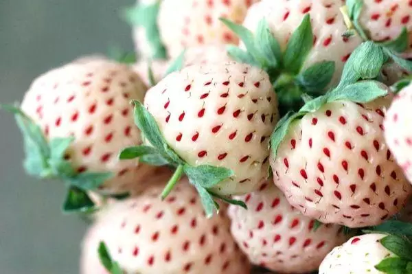 strawberry ສີຂາວ
