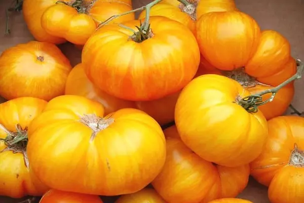 Opis boje rajčice Kazahstana žuta, njegova prinos i kultivacija