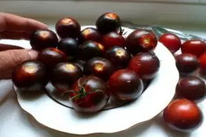 Kenmerken en beschrijving van de tomaat zwarte kersentomaat, opbrengst