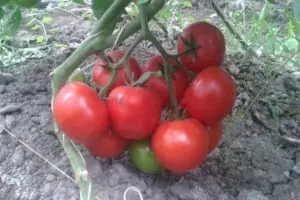 Beskrivelse af sorten af ​​tomatmatias, funktioner ved dyrkning og pleje