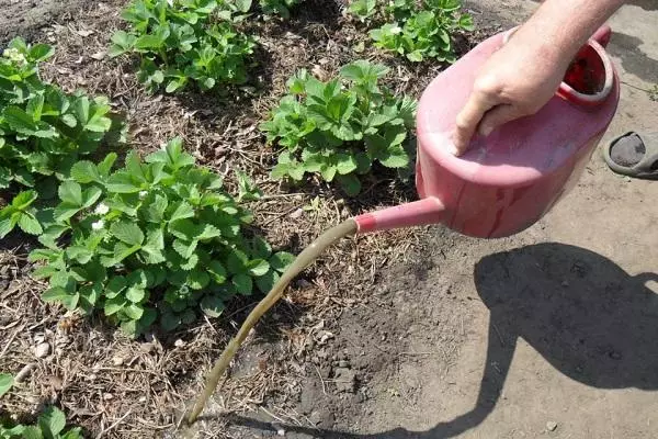 Faire herbicide