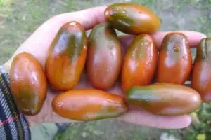 Descrición do tomate cosolka negro, características crecentes