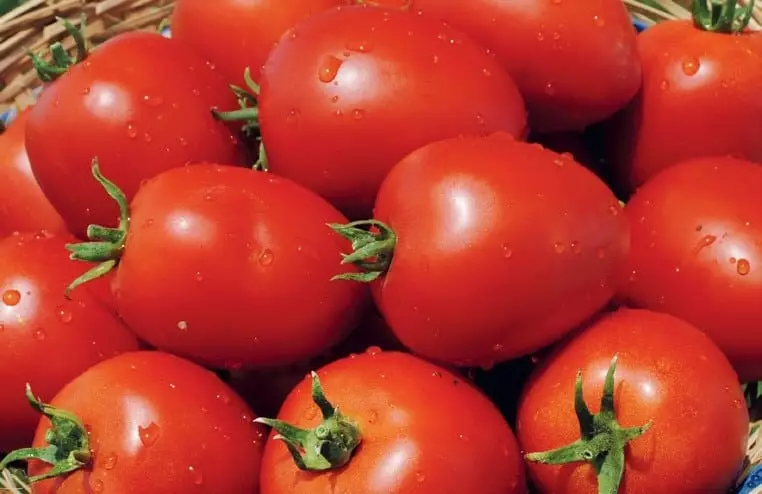 Daşky görnüşi pomidor namib