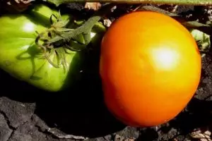 Përshkrimi i shumëllojshmërisë së numërimit të domates Orlov, kultivimit dhe rendimentit të saj