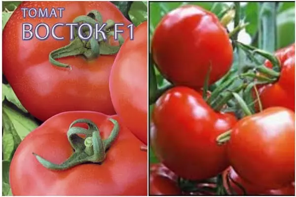 Pomidor Toxum Şərqi