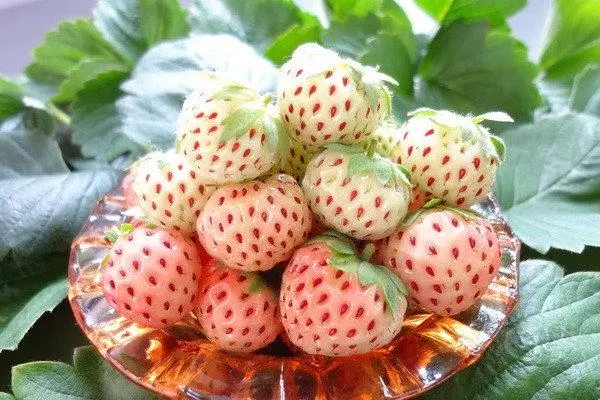 Strawberry Pineapple