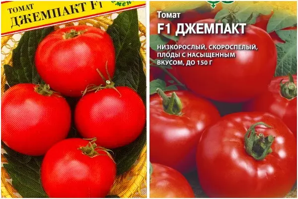насіння томата Джемпакт
