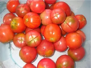 Appearance Tomato Colhomous