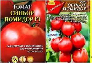 Characteristics and description of Tomato Signor Tomato