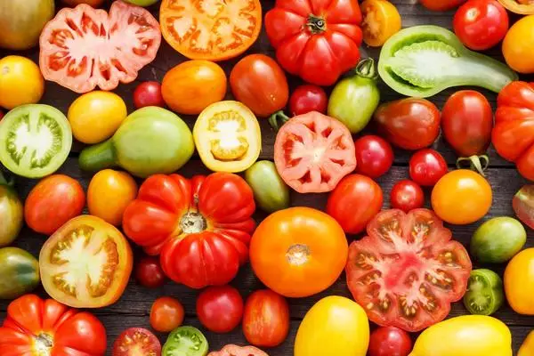 Varietas tomat yang berbeda