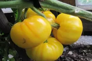 Apraksts tomātu krāsu Kazahstānas dzeltenā, tās raža un audzēšana