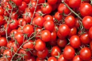 Opis rajčice sorte ples, njezine karakteristike i kultivacije
