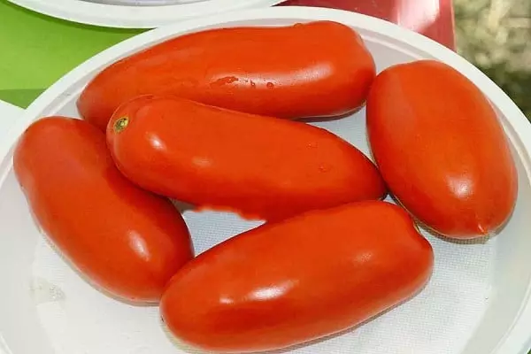 Ulysses tomato.