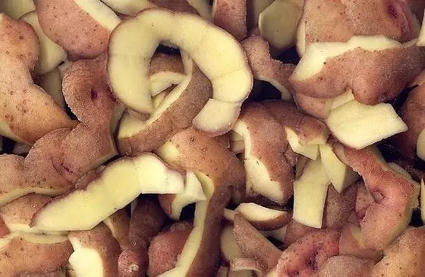 פילינגים תפוחי אדמה