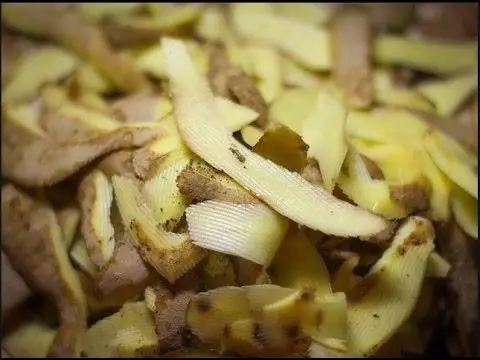 ניקוי תפוחי אדמה עבור דומדמניות