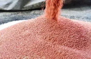 Tipi ta 'fertilizzant bil-potassju u għaliex huwa meħtieġ mill-pjanti, li fih fih