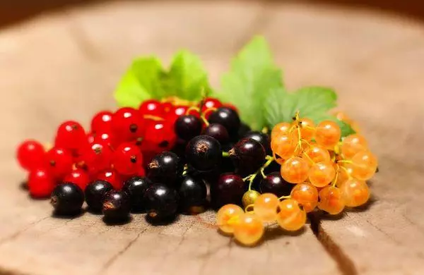 Berries differenti
